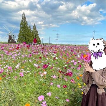 絞り込み | 配信者勢いランキング